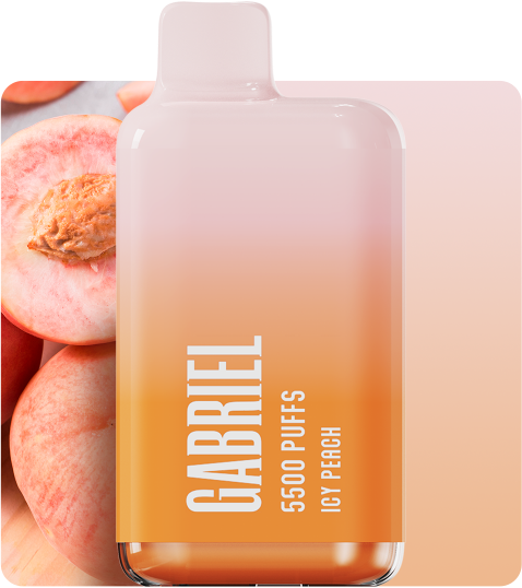 Gabriel BF5500丨12ml 5500puffs